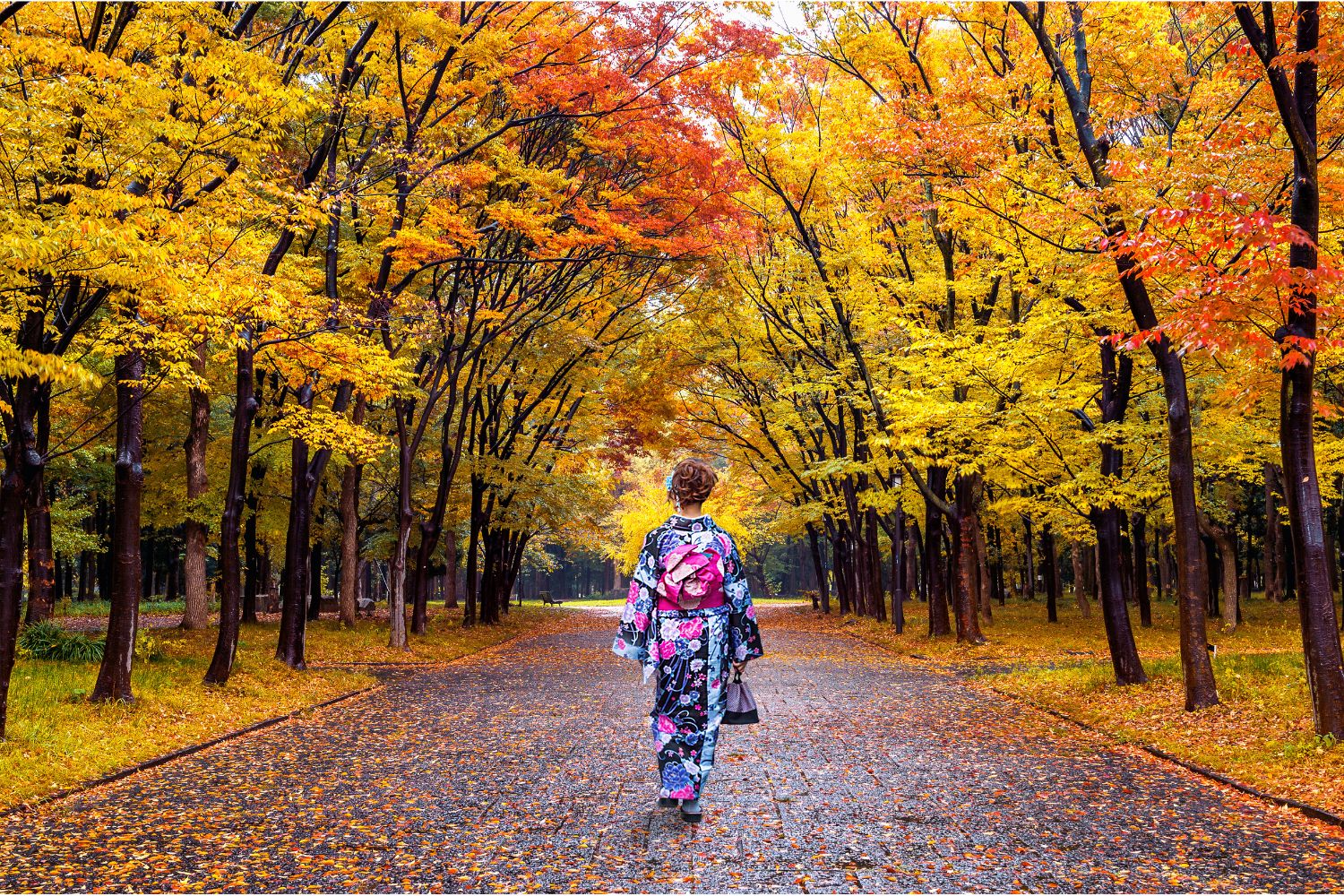 Discover the Beauty of Japan’s Autumn Season